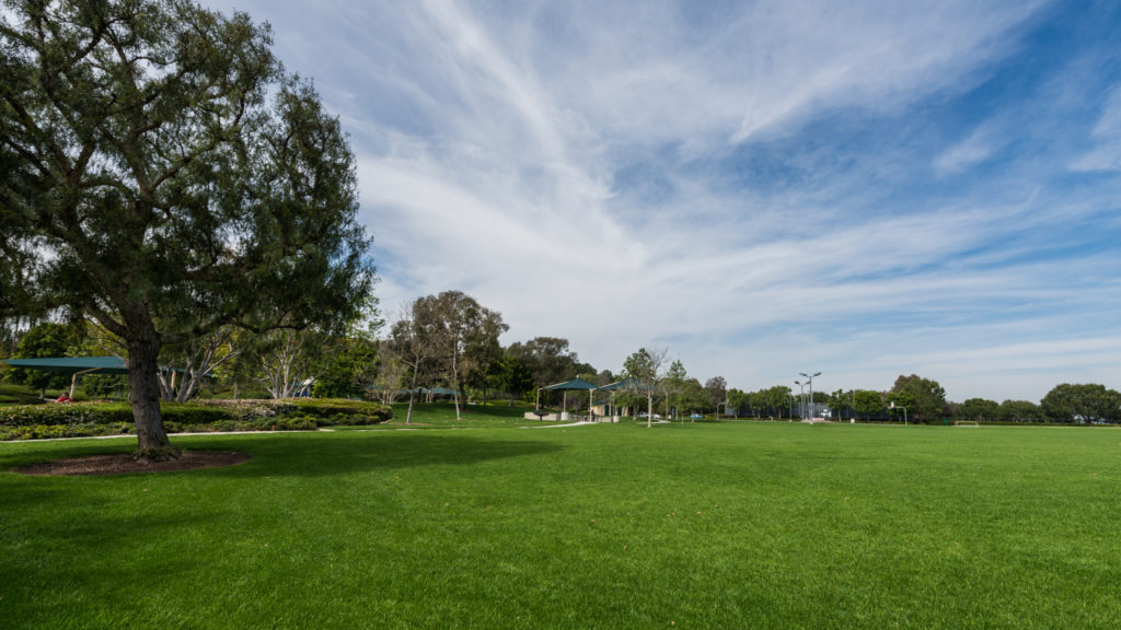 Parks