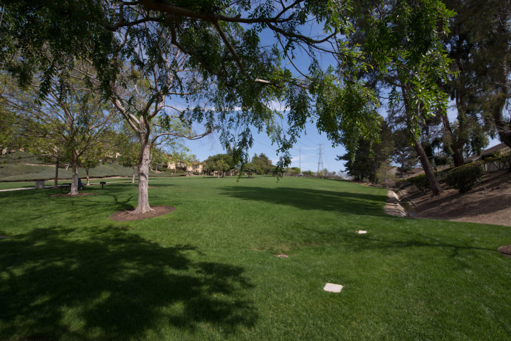 Parks